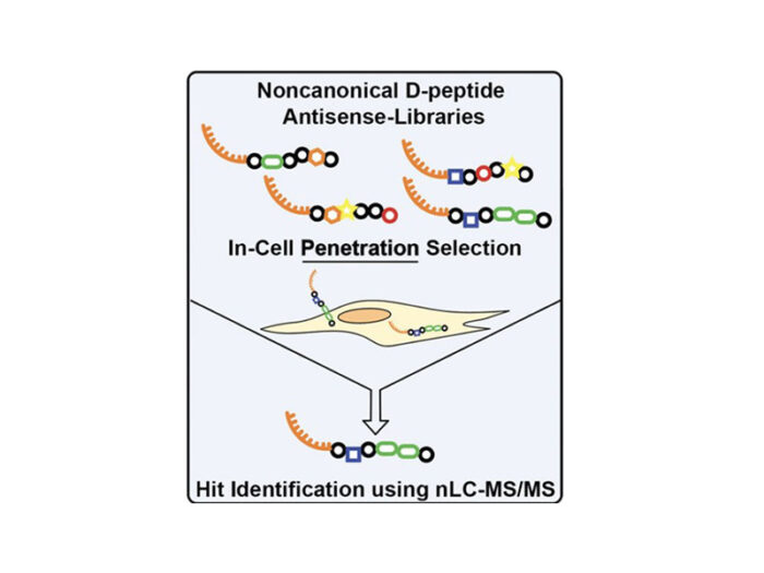 Pentelute Lab MIT | Pentelute Lab MIT - Publications Page